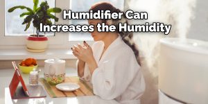 How to Increase Humidity in Office | 7 Options Solution