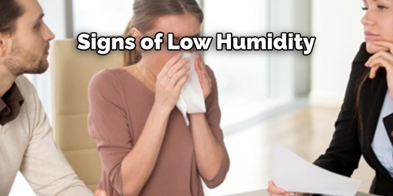 How to Increase Humidity in Office | 7 Options Solution